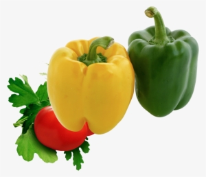 Fresh & Delightful Quality For Your Table - Chutney Labels To Print ...