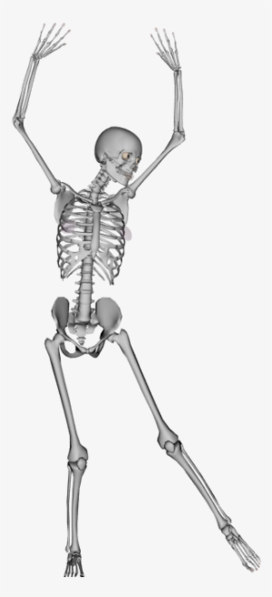 Dancing Skeleton PNG Image | Transparent PNG Free Download on SeekPNG