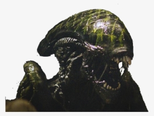 Alien Hands - - Aliens With 3 Fingers PNG Image | Transparent PNG Free ...