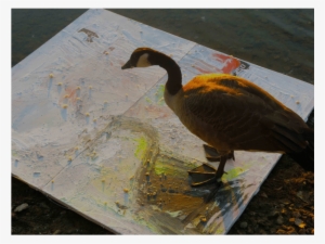 Duck Png Hd - Goose Png PNG Image | Transparent PNG Free Download on ...