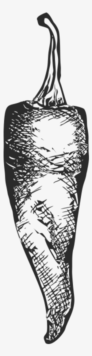 Our Range Jpg Library - Pepper Drawing Transparent PNG Image ...