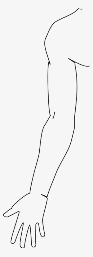 Medium Image - Line Art PNG Image | Transparent PNG Free Download on ...