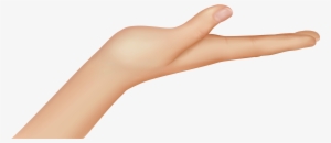 Hand Png Clipart Image - Hand Showing Something Png PNG Image ...