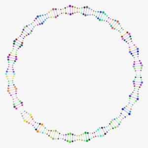 Nucleic Acid Double Helix Dna Circle Computer Icons - Dna PNG Image ...