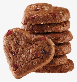 Biscuits Chocolat Noir 70 % Cacao Et Canneberges - Praeventia Dark ...