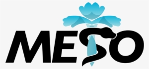 Meso Is A Non-profit, Student Run Organization At The - Student PNG ...