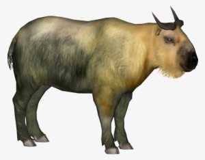 Ultimate Ungulates - Zt2 Takin PNG Image | Transparent PNG Free ...