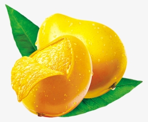 Mango Logo 2018 PNG Image | Transparent PNG Free Download on SeekPNG