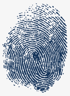 Fingerprint Icon Png Library - Blue Fingerprint Png PNG Image ...