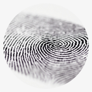 Fingerprint Technology - Finger Print PNG Image | Transparent PNG Free ...