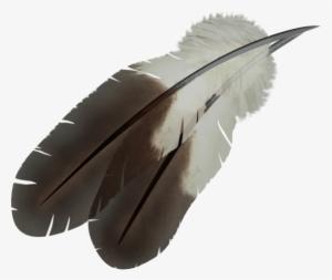 Free Png Feather Png Images Transparent - Native American Feather Png ...