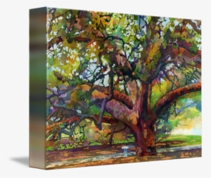 "sunlit Century Tree" By Hailey E - Sunlit Century Tree PNG Image ...