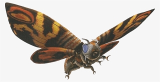 Godzilla Save The Earth Mothra Imago - Earth Mothra PNG Image ...
