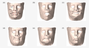 Facial Landmarks - Sketch PNG Image | Transparent PNG Free Download on ...
