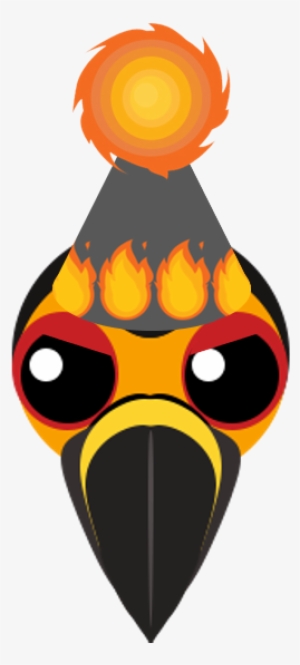 Here Is Pakistan Toucan Too, And The Links To The Skins - Piciformes ...