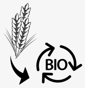 Wheat Waste To Bio Mass Vector - Biomass Icon PNG Image | Transparent ...