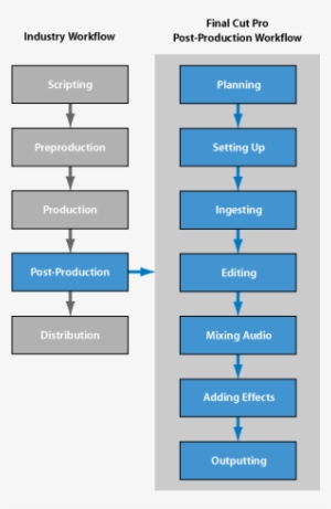 Diagram Showing The Final Cut Pro Post-production Workflow - Post ...