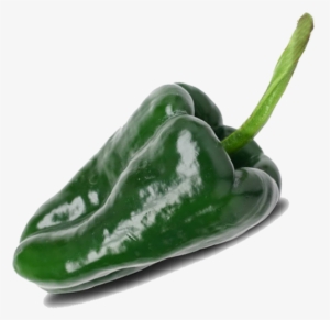 Hot Green Poblano Pepper - Poblano Chili PNG Image | Transparent PNG ...