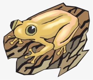 Frog Clipart Log Clipart - Wood Frog Cartoon PNG Image | Transparent ...