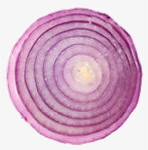 Onion Slice - Onion Slice Side View PNG Image | Transparent PNG Free ...