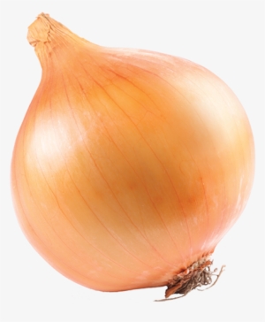 Onions, Colossal - Yellow Onions PNG Image | Transparent PNG Free ...