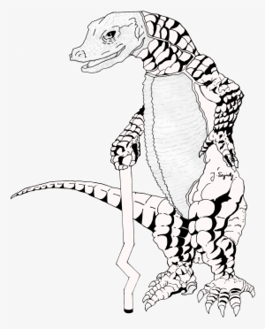 Toothless Reptiles - Salvator Varanus Drawing PNG Image | Transparent ...