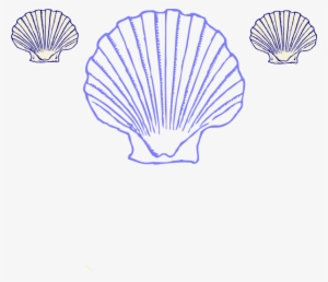 Original Png Clip Art File Three Shells Svg Images PNG Image ...