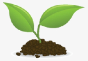Seedling Sprouting Clip Art - Seedling Clipart Free PNG Image ...
