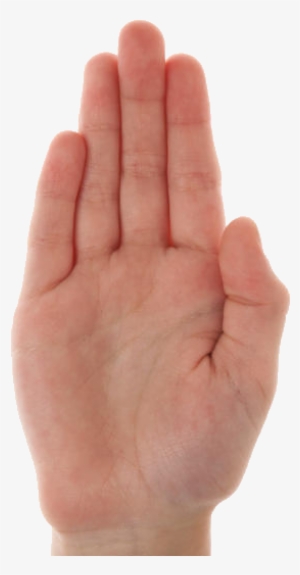 Palm Of Hand Png Image Library Stock - Hand PNG Image | Transparent PNG ...