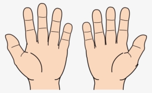 Finger Clipart Hand Palm - Clip Art Palm Hand PNG Image | Transparent ...