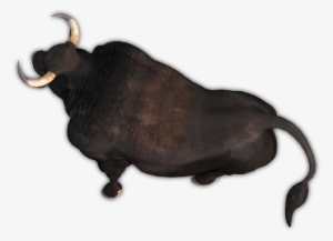 30 225k Bull 18 Rs - Bull PNG Image | Transparent PNG Free Download on ...