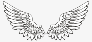 Free Png White Wings Png Images Transparent - Wings Drawing PNG Image ...