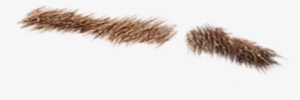 Realistic Mustache Png - Eyelash Extensions PNG Image | Transparent PNG ...