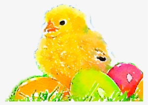 Easter Chick, Easter, Chick, Watercolor Png And Psd - Psd PNG Image ...