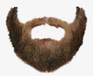 Beard Png - Long Beard Transparent PNG Image | Transparent PNG Free ...