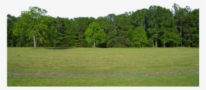 The Forest Logo Png - Forest Game Logo Hd Png PNG Image | Transparent ...