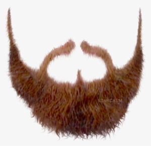 Beard Simulator Png Library Library - Beard Side View Png PNG Image ...