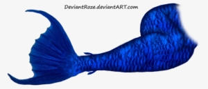 Mako Mermaids PNG Image | Transparent PNG Free Download on SeekPNG