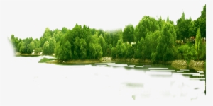 Download Amazing High-quality Latest Png Images Transparent - Forest ...