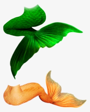 Mermaid Tail High-quality - Mermaid Tails No Background PNG Image ...