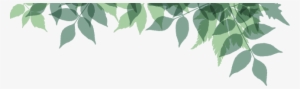 The Forest Logo Png - Forest Game Logo Hd Png PNG Image | Transparent ...