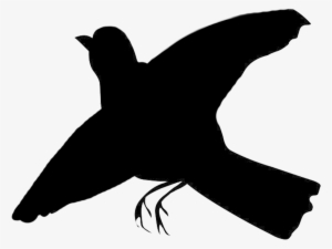 Brds Clipart Rook - Transparent Flying Black Bird PNG Image ...