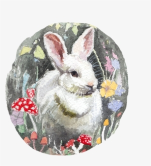 Snowshoe Hare PNG Image | Transparent PNG Free Download on SeekPNG