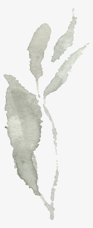 Hand-painted Leaves, Stick Figure, Watercolor, Transparent - Watercolor ...