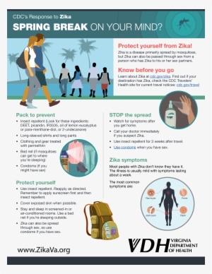 Traveling For Spring Break - Spring Break Safety Plan PNG Image ...