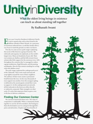 Linnaeus University PNG Image | Transparent PNG Free Download on SeekPNG