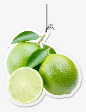 Key Lime PNG Image | Transparent PNG Free Download on SeekPNG