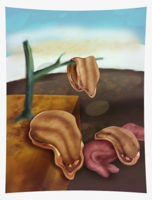 2018 Raúl 'robin' Morales - Still Life PNG Image | Transparent PNG Free ...