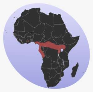 P-africa Gold's Tree Cobra Area - Liberia In Africa Map PNG Image ...