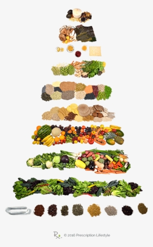 Prescription Lifestyle Vector Transparent Stock - Food Pyramid Png PNG ...